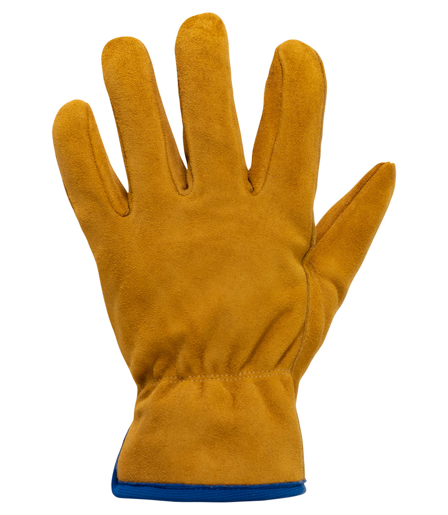 Gloves – Noble Outfitters