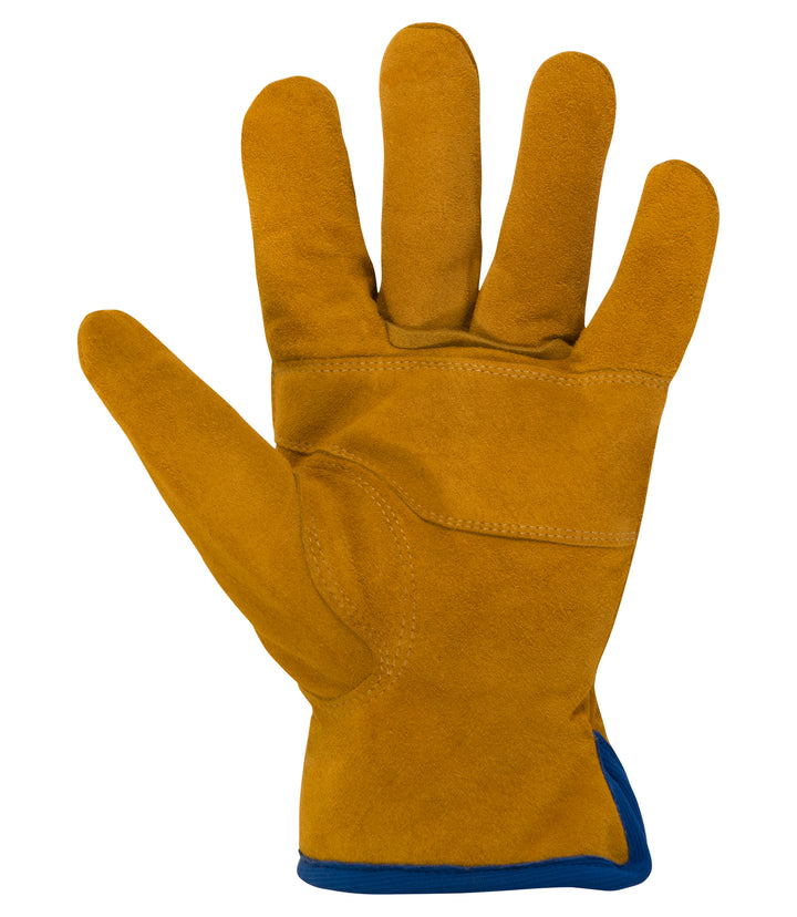 Gloves – Noble Outfitters